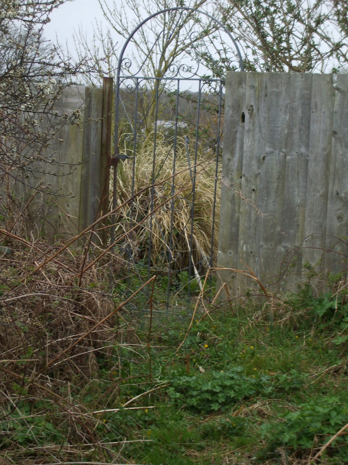 Sandy Lane, Pennard, Gower. Thoughts From My Heart: THE GATES OF SANDY ...