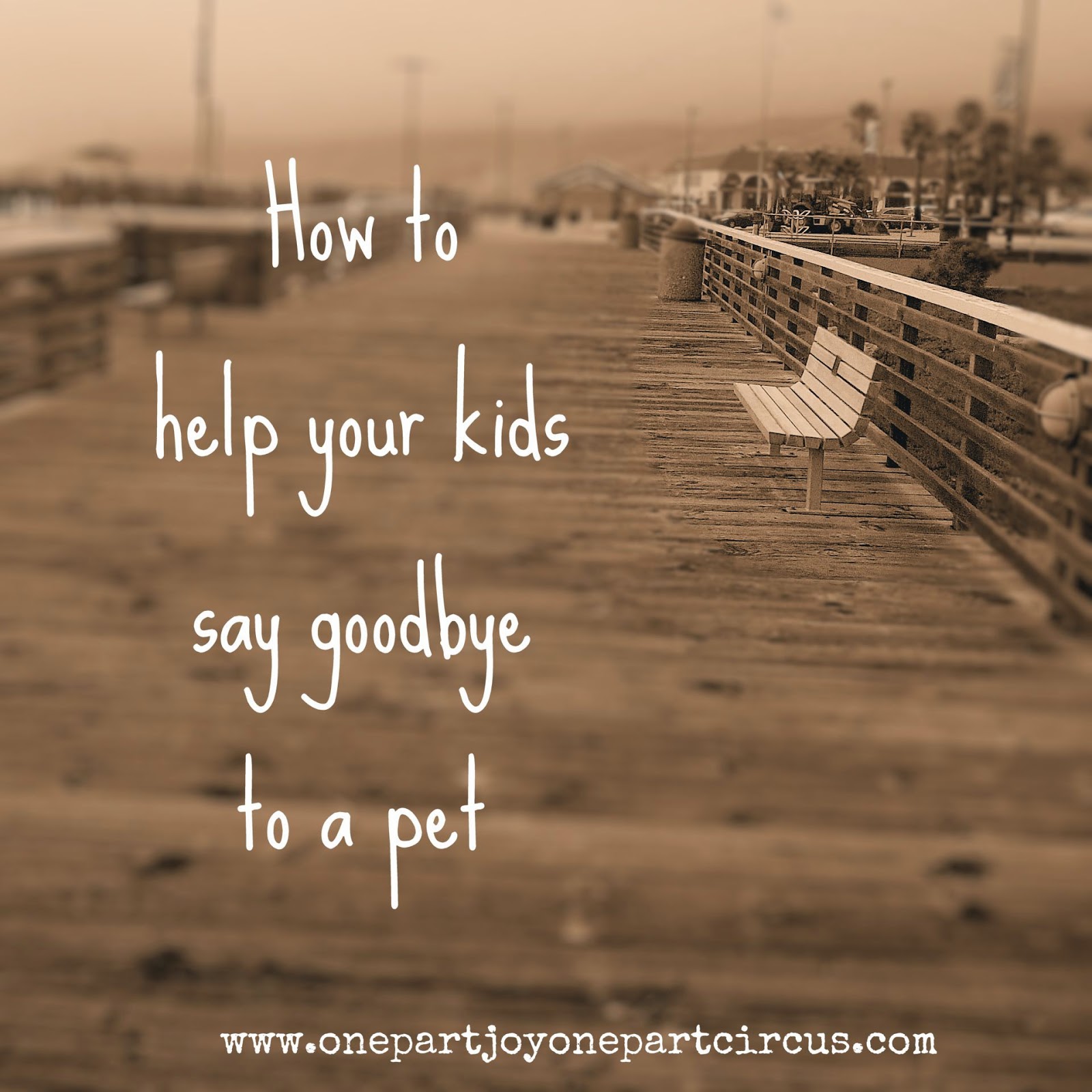 Goodbye Quotes For Pets. QuotesGram