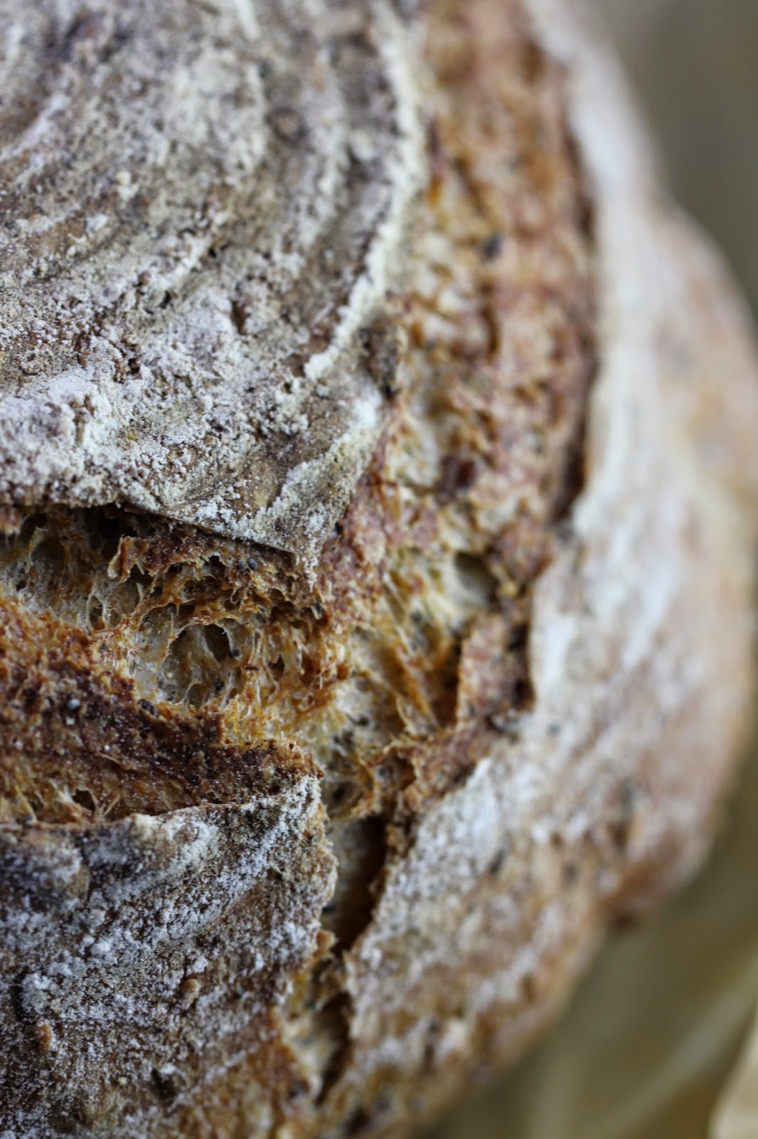 Whole-Wheat Multigrain Levain Bread - Ever Open Sauce