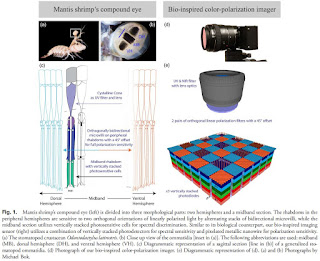 3 Layer Color and Polarization Sensitive Imager - F4News