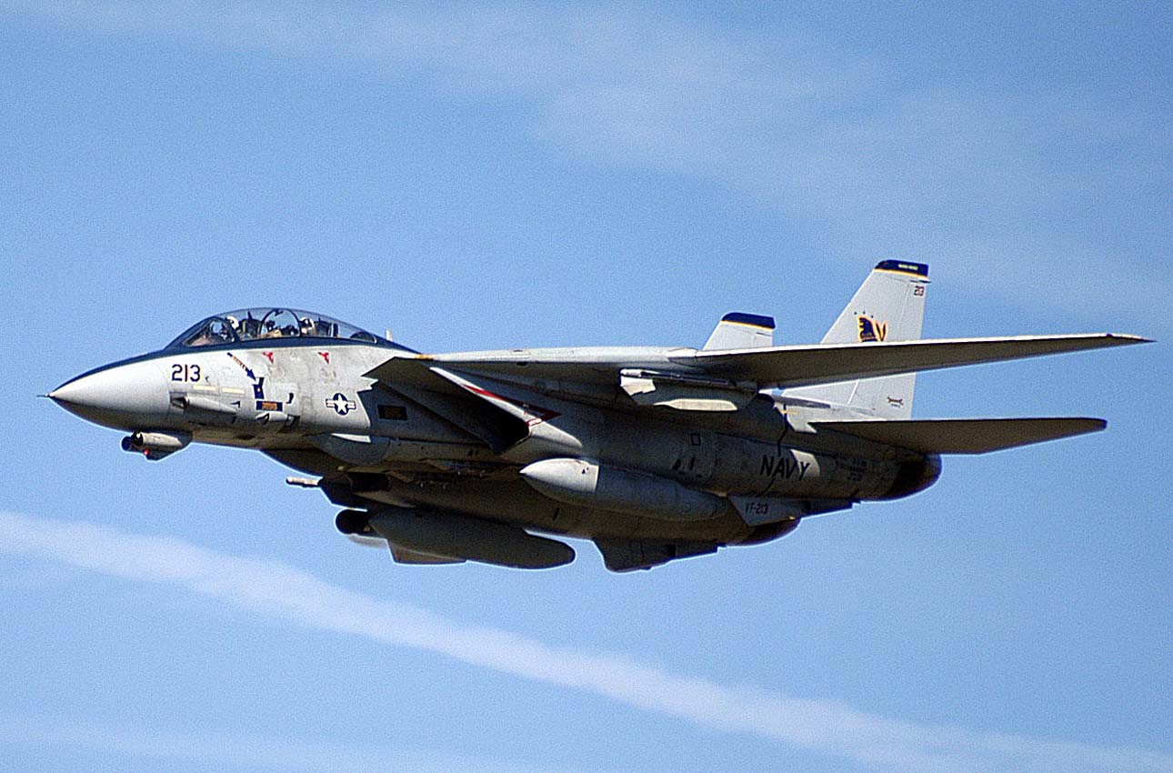 nhungdoicanh: Grumman F-14D Super Tomcat