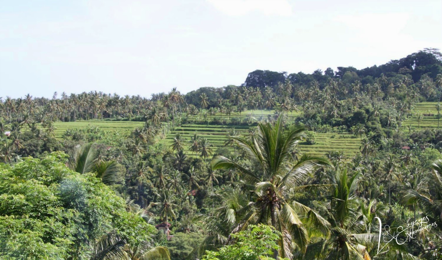 Voyages et Expériences : Bali: de Pemuteran à Sanur VIA PUPUAN, Sublime!