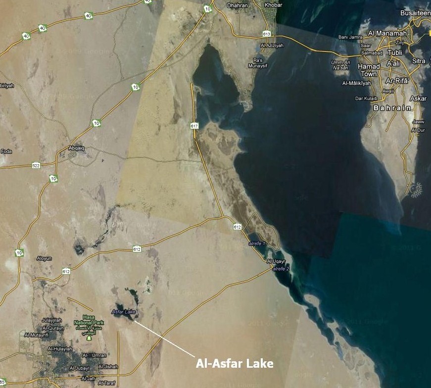 Birds of Saudi Arabia: Al-Asfar Lake - Location Details