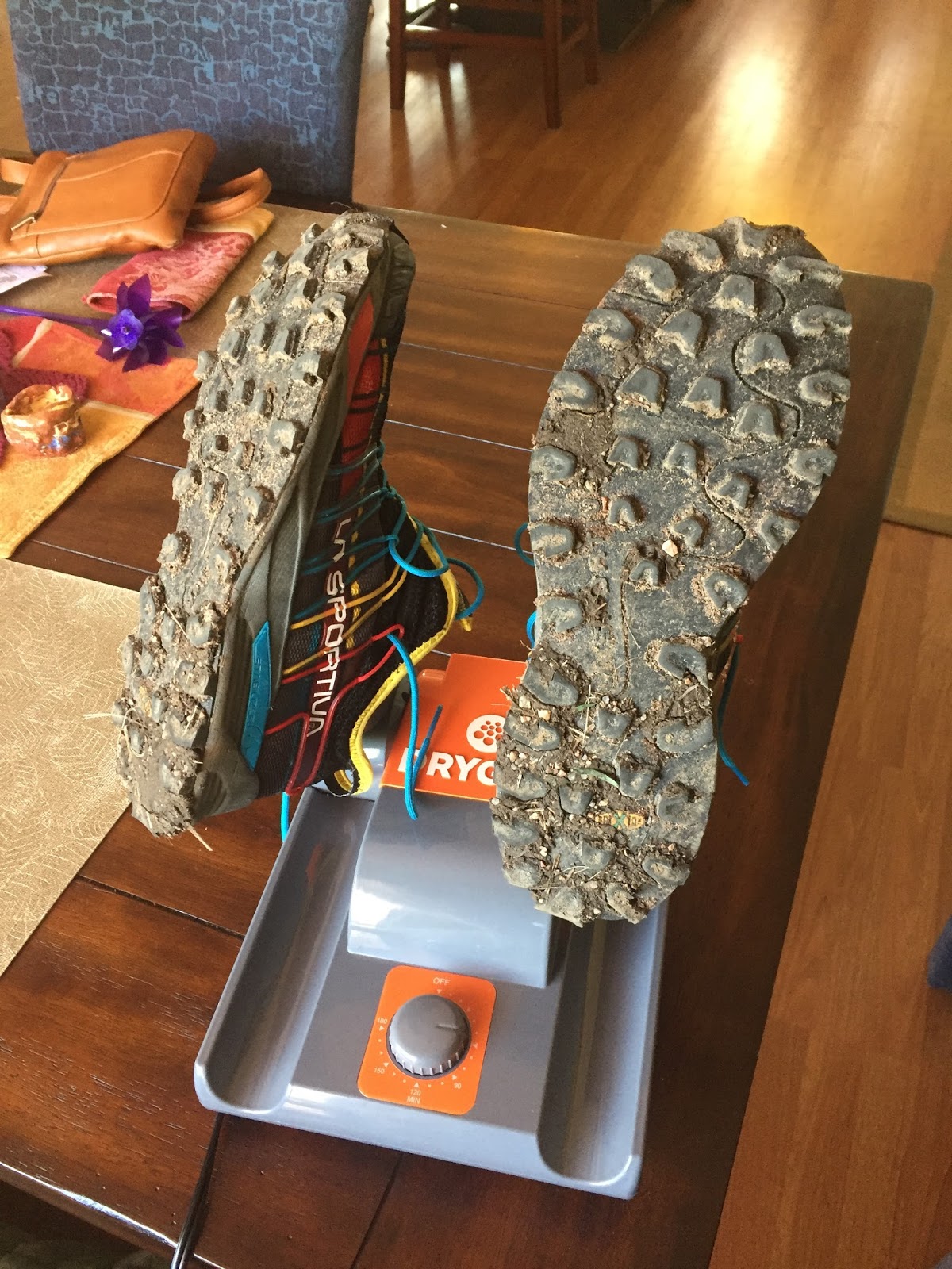 Road Trail Run: DryGuy Shoe Dryers - Quick and Effective Drying at Home ...
