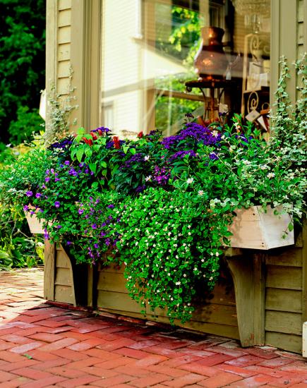 5 DIY Beautiful Window Box Planters