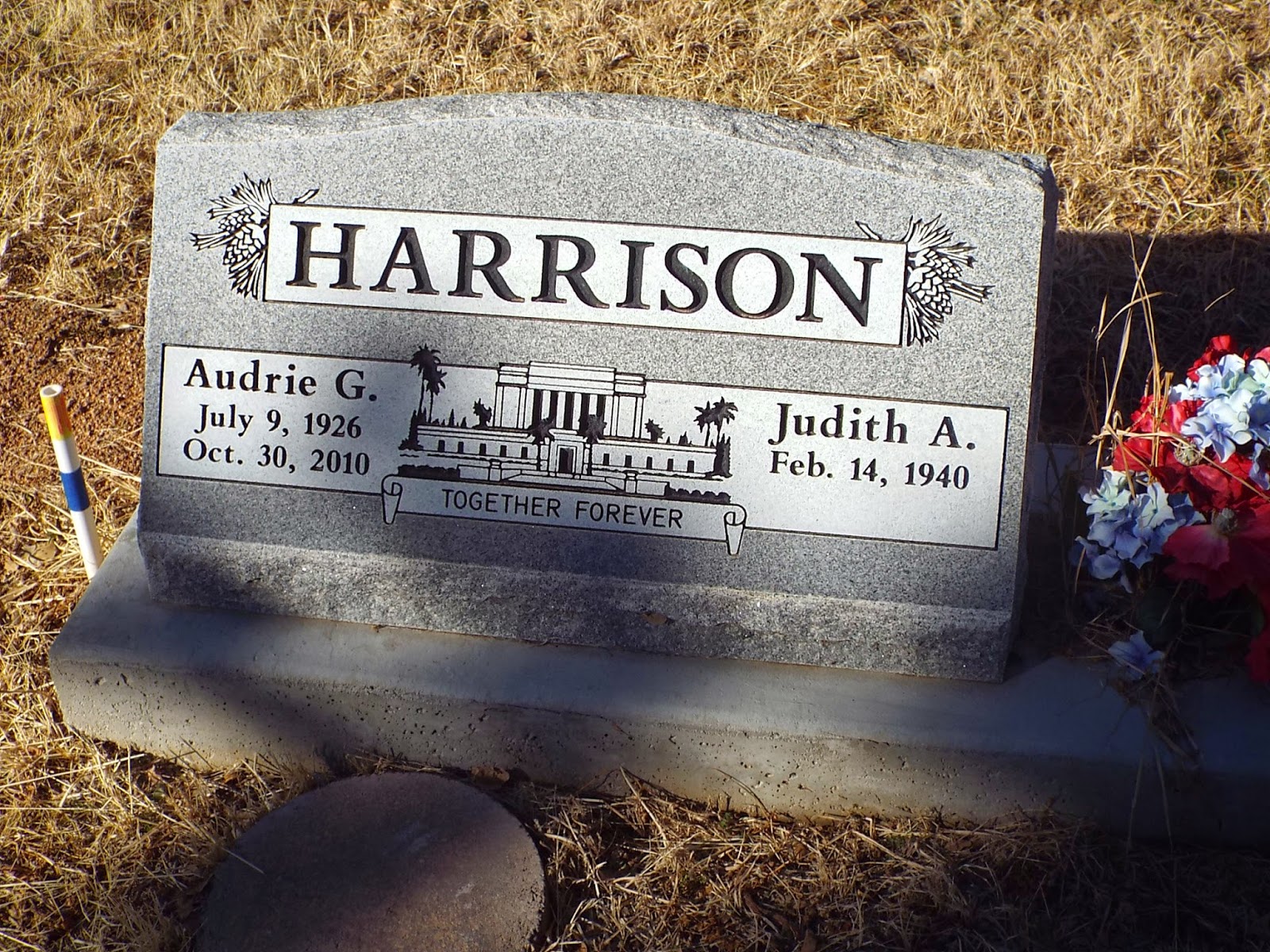 Harrison Histories: Audrie Grady Harrison