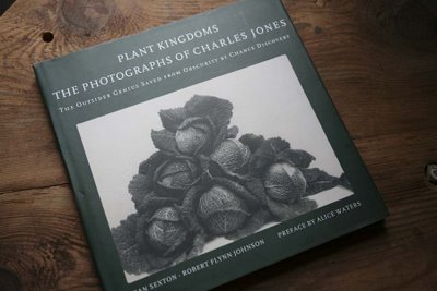 Spaces Between The Gaps: Creative Cauldron - Charles Jones