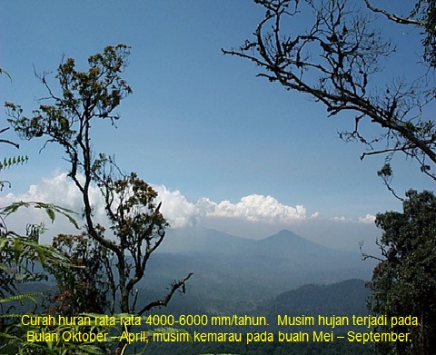Mengenal Taman Nasional Gunung Halimun - PLH Indonesia