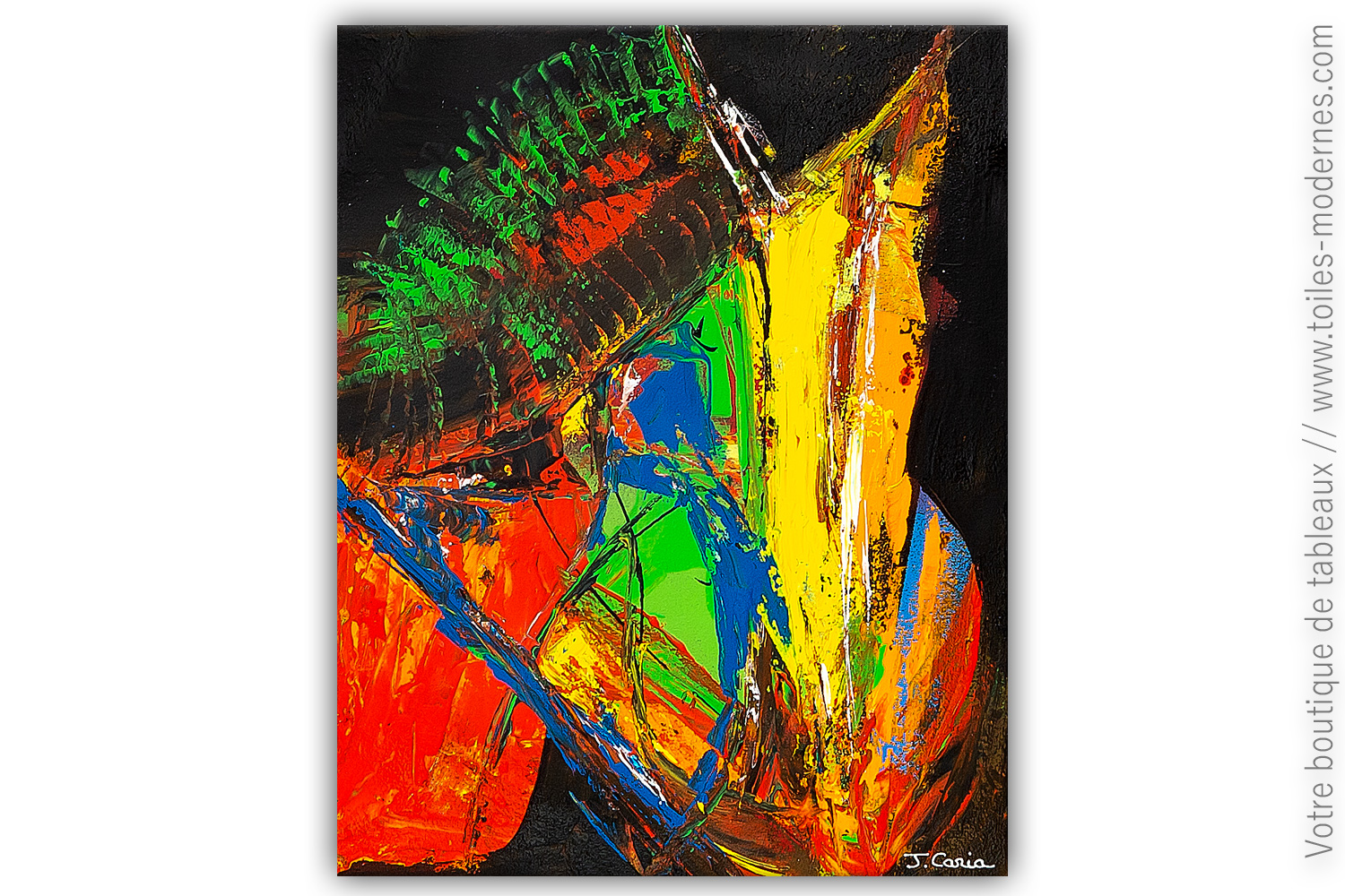 Joëlle Caria Artiste Peintre Toiles-modernes.com. Tableaux Modernes ...