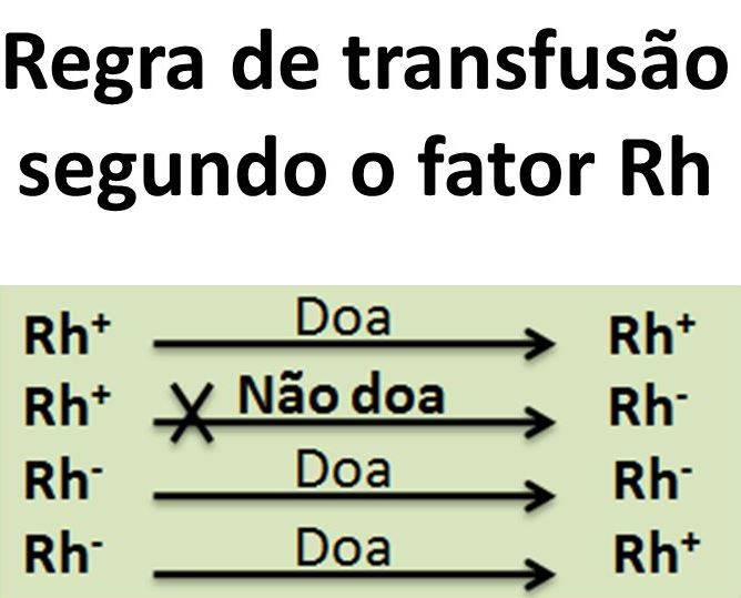 Blog de Biologia: Fator Rh no sangue