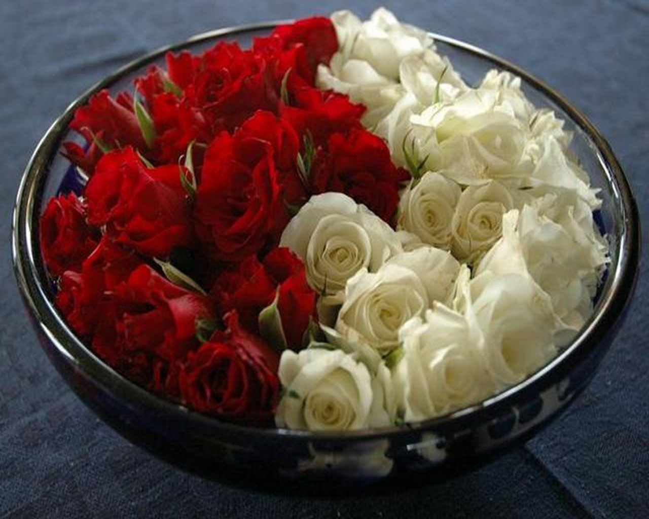 Luz de Nekane: Las propiedades mágicas de las esencias y sus secretos