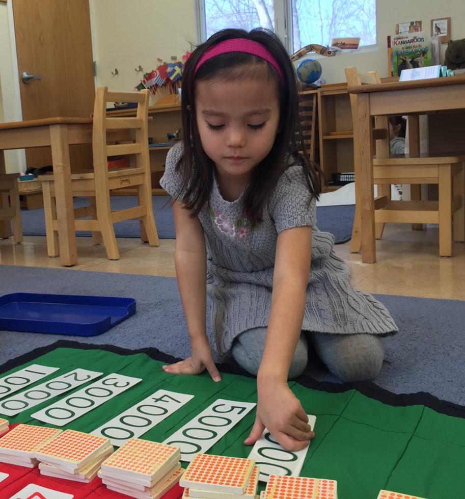 Snake Game, Stamp Game, Bird’s Eye View, The Mess, Bank Game ...