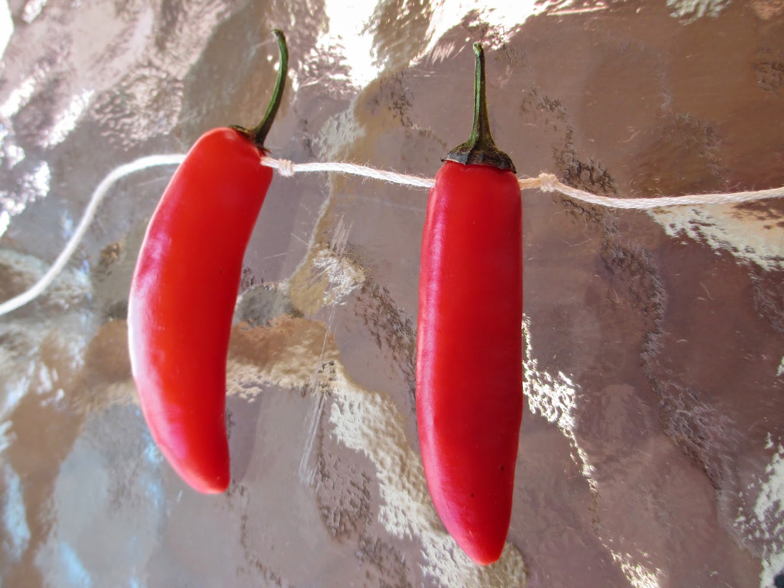 Andie's Way: Chili Garland - A Pretty Way to Dry Your Chiles