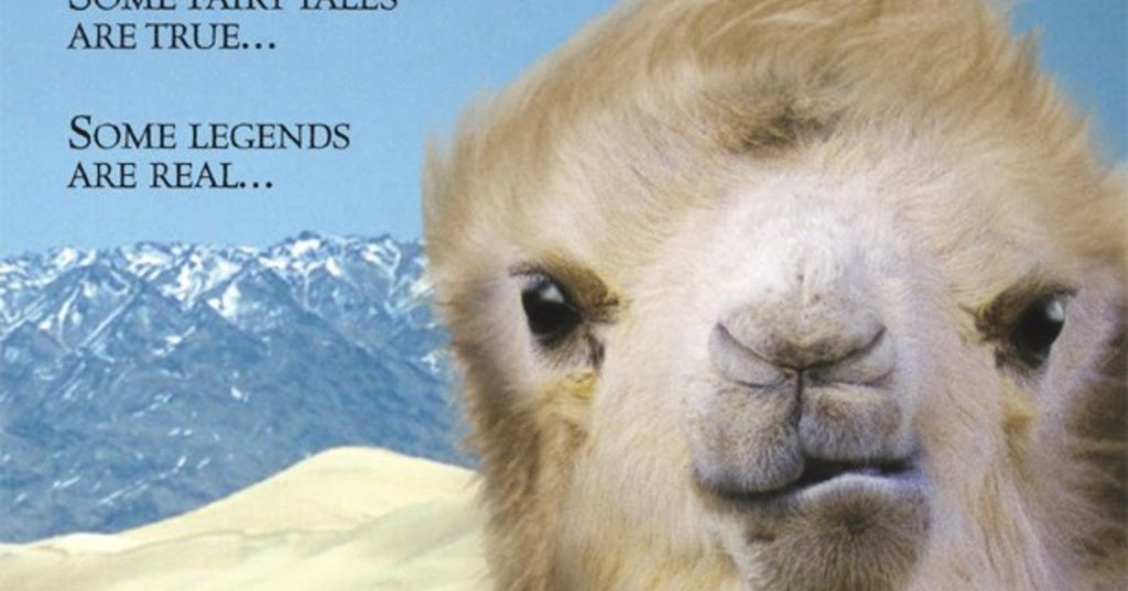 Marco Carnovale: Film review: The Story of the Weeping Camel (2003) by ...