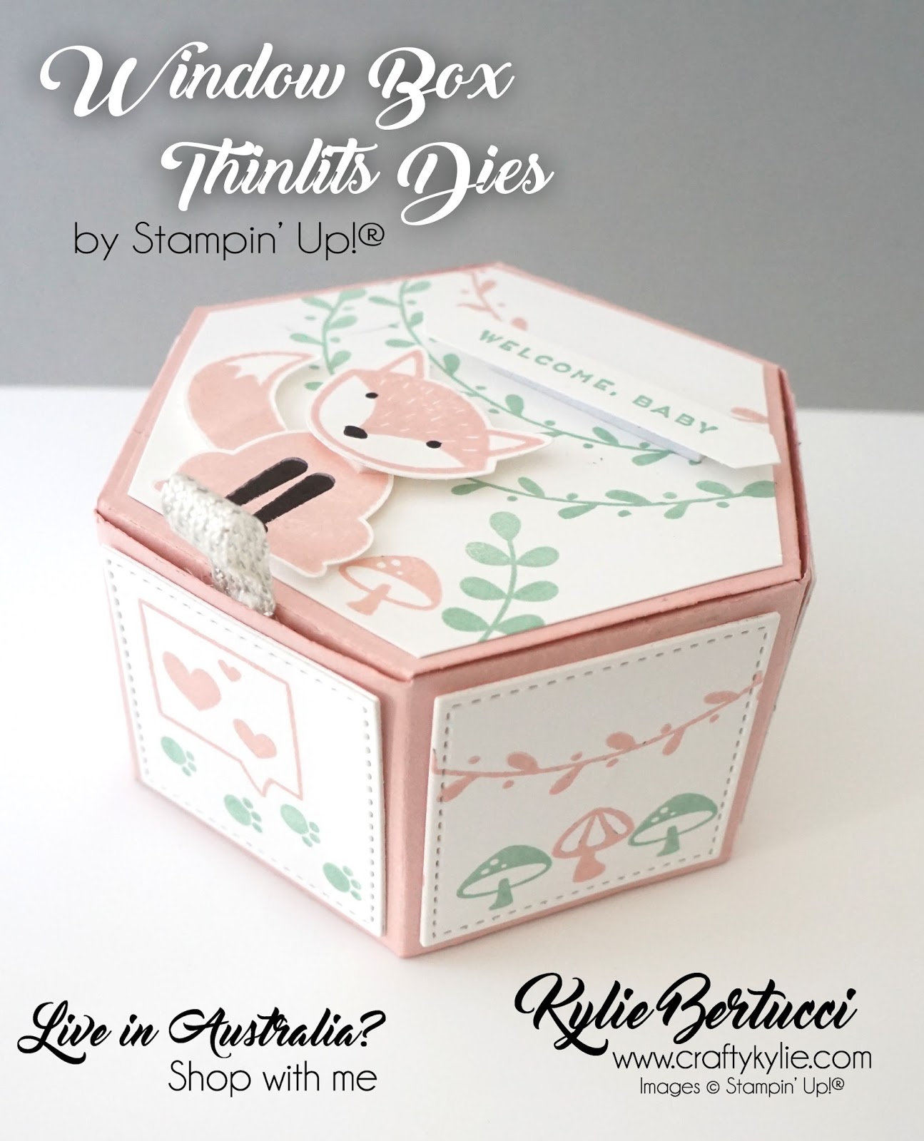 VIDEO: Window Box Thinlits Baby Gift Box - Kylie Bertucci