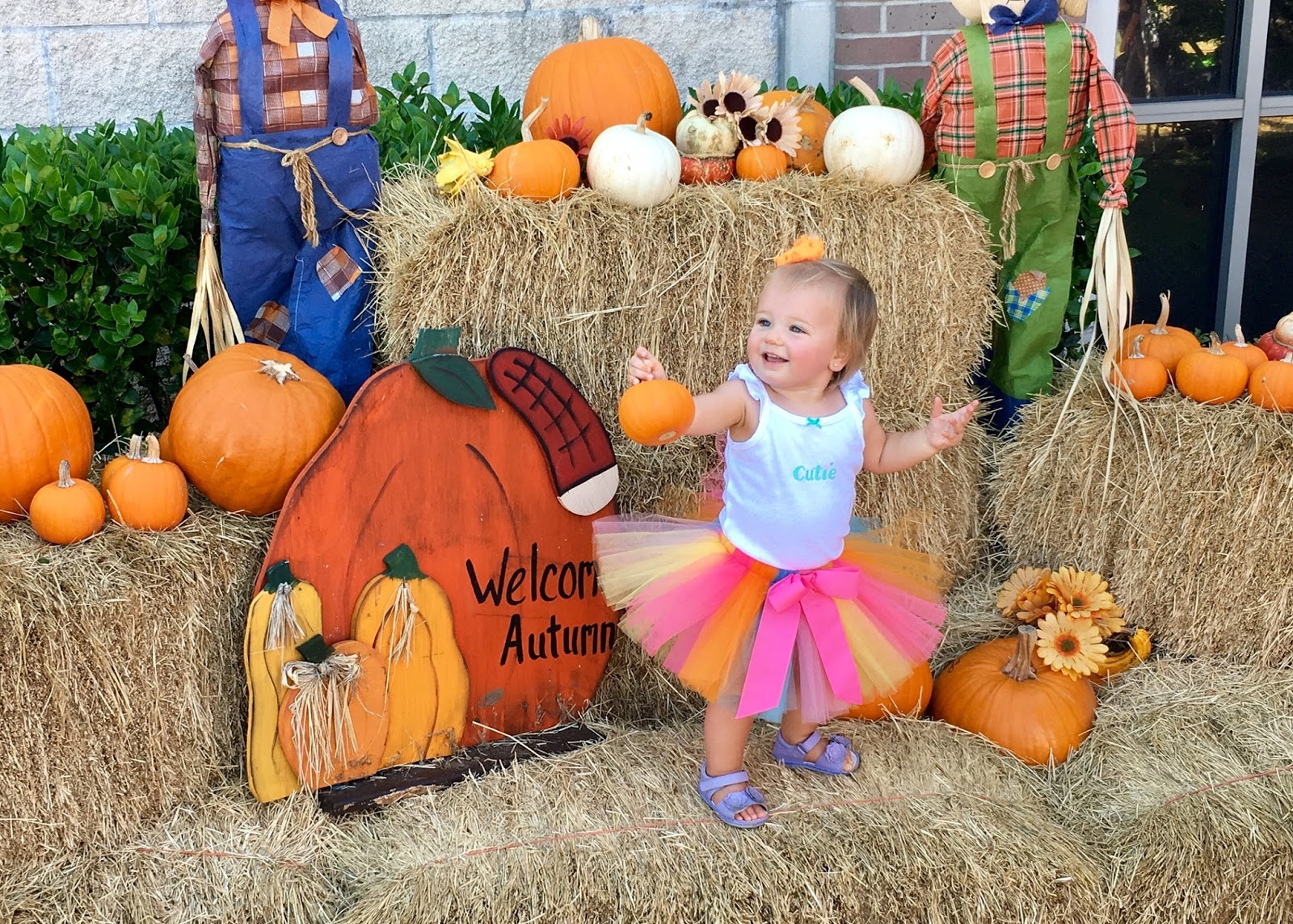 Chloe Grace at the Pumpkin Patch - Amy's Balancing Act
