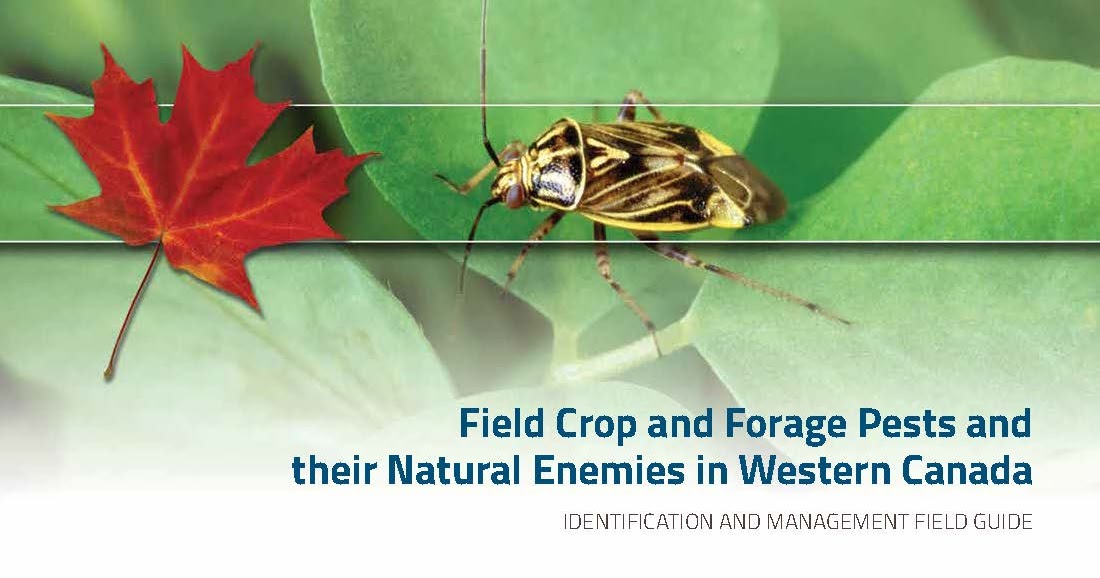 Prairie Pest Monitoring Network Blog: Field Crop and Forage Pests and ...