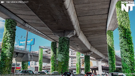 dandelions and concrete: Via Verde project in Mexico City (citizen-led)