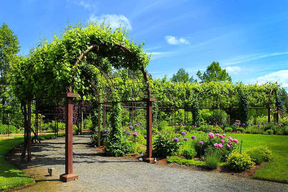 Photographing Oregon: Oregon Garden