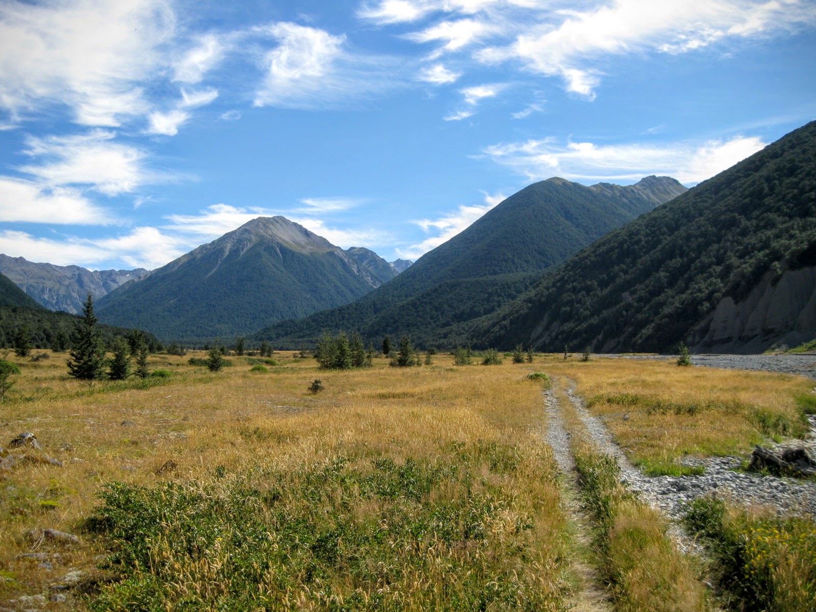Tramping in the New Zealand backcountry: NZ Bush Adventures: East Hawdon