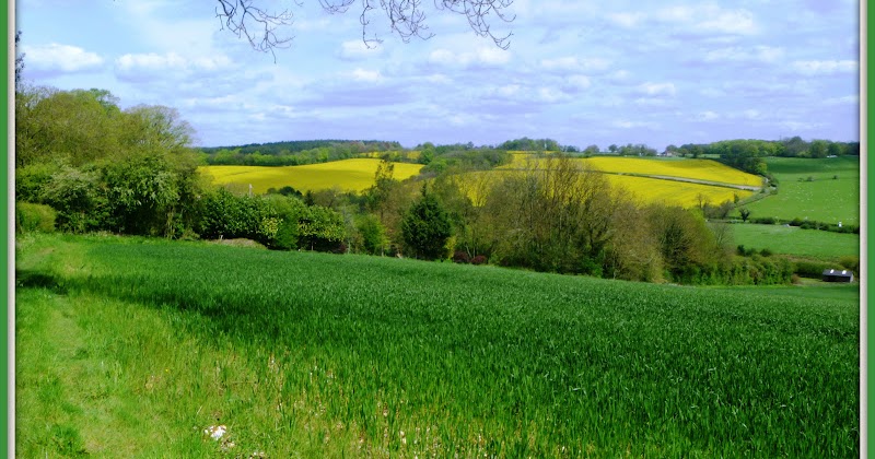 The Vegetarian Experience: Rogation Sunday - Blessing the Crops ...