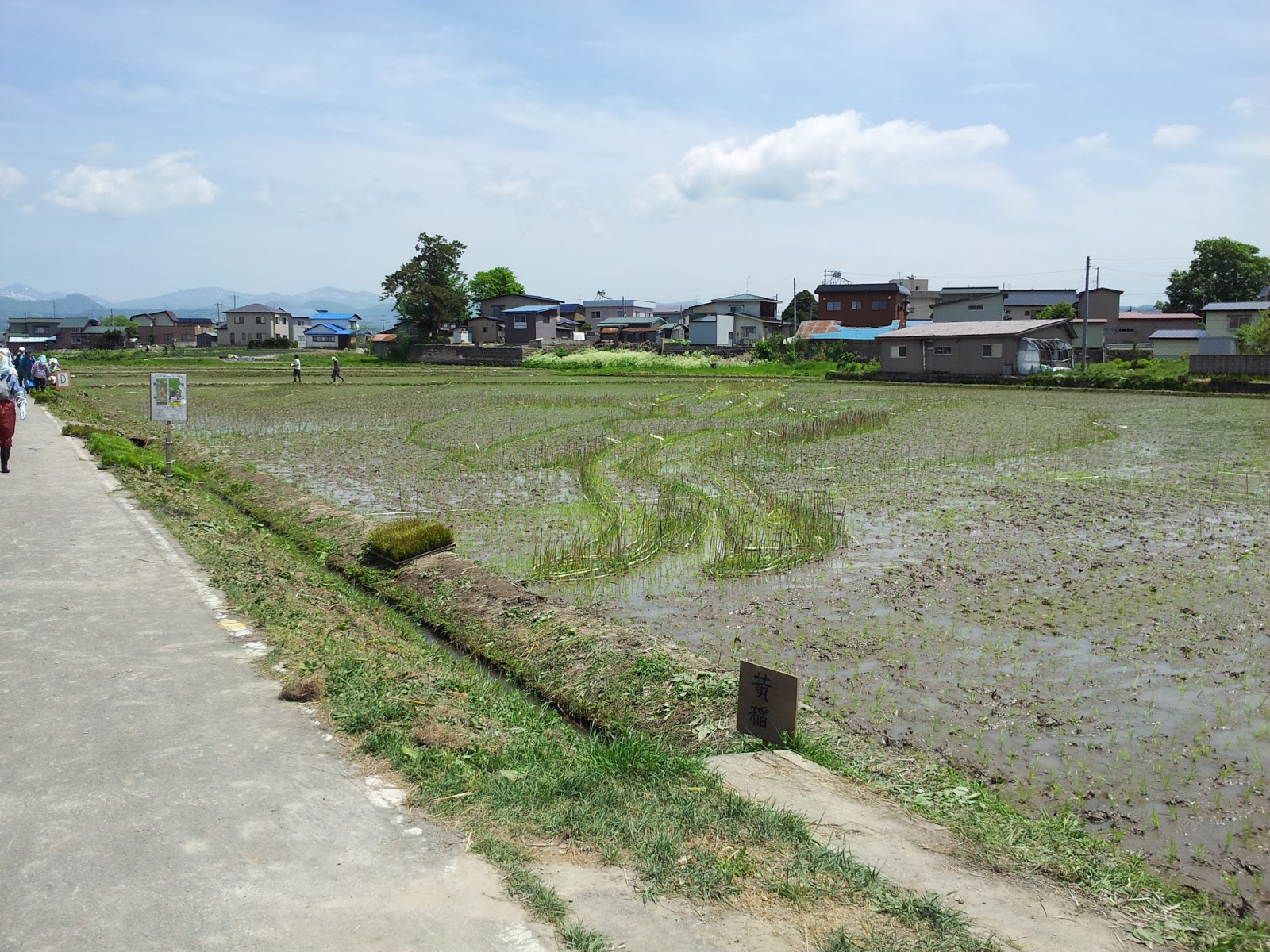 Traveling and Teaching in Rural Japan: Inaka Activities