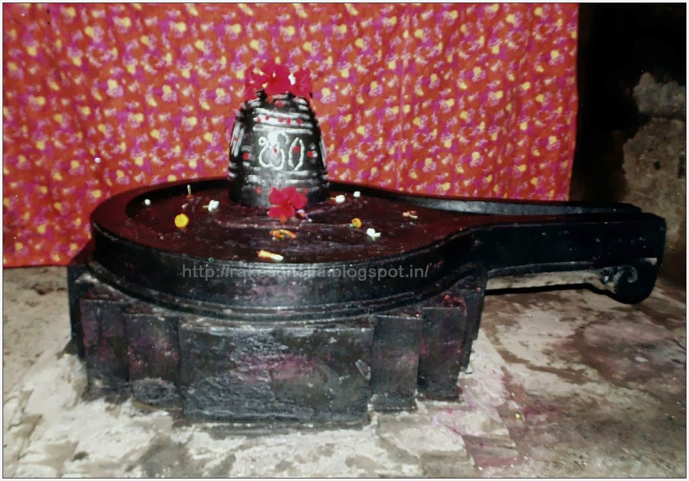 The Voice of Greenery - Trekking and Travelling in Western Ghats: The ...