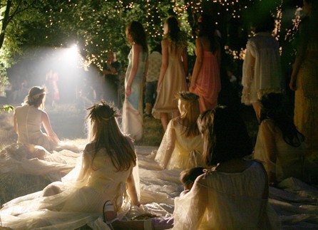 lumina vindecatoare: SANZIENELE