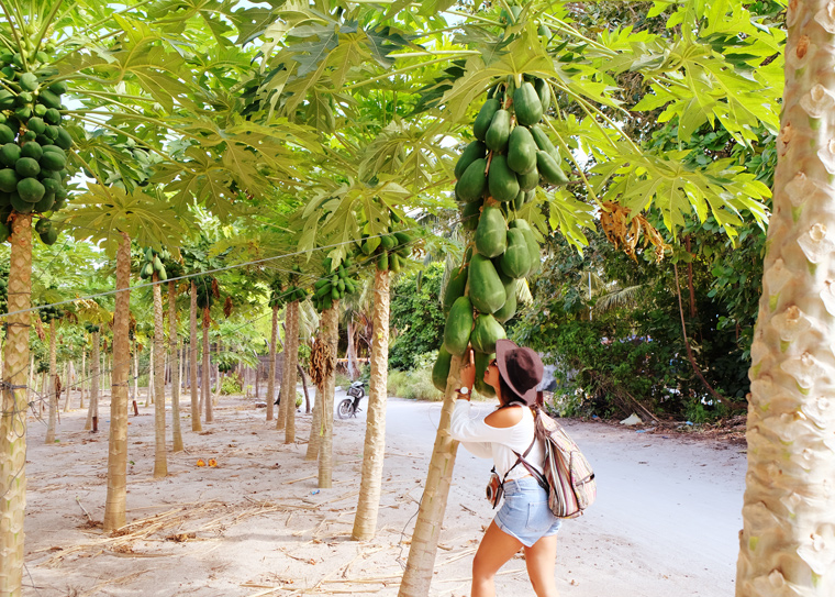 6 REASONS HOW DO I FALL IN LOVE WITH THODDOO ISLAND, MALDIVES ...