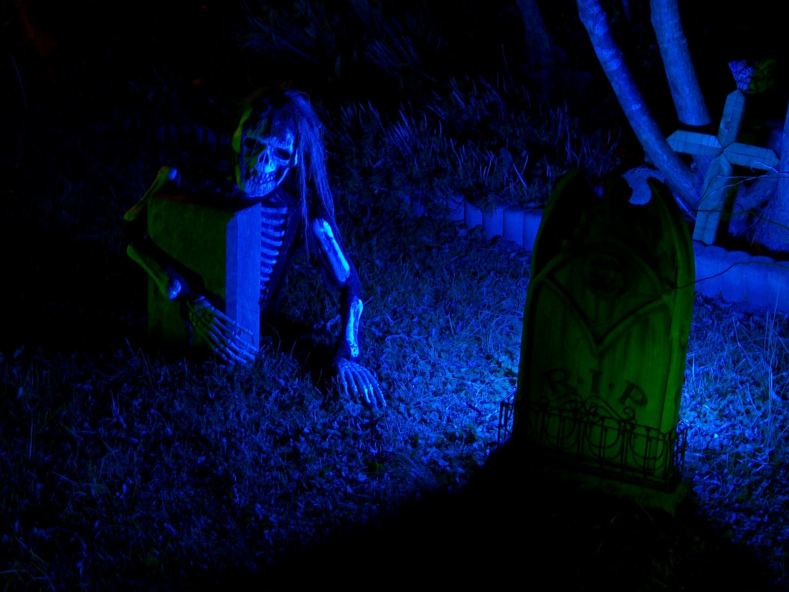 Something wicKED this way comes....: Terror-ific Tuesday in the land of ...