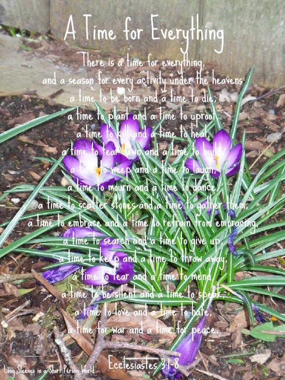 Long Sleeves in a Short Person World: The Hope of Spring