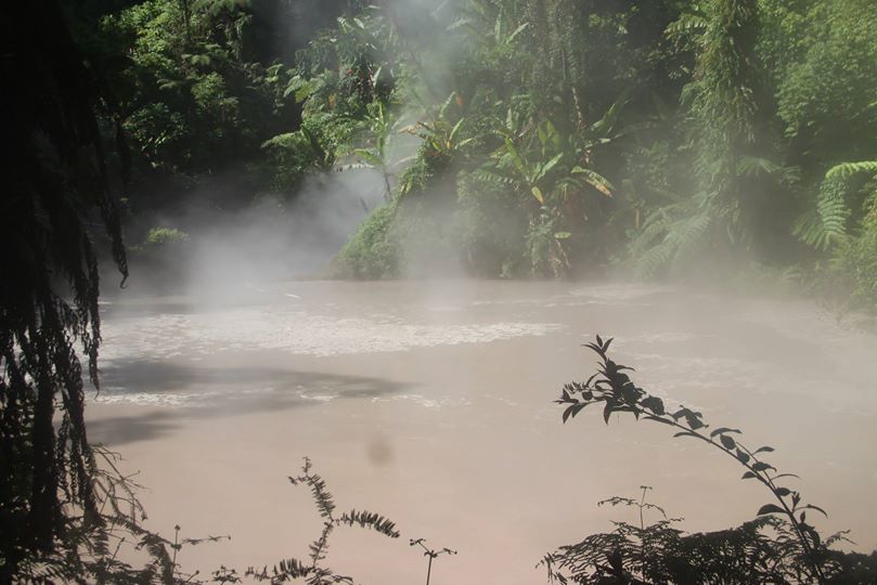 Christine Sells: Lake Agco Adventure, Definitely Nature's Best! (Lake ...