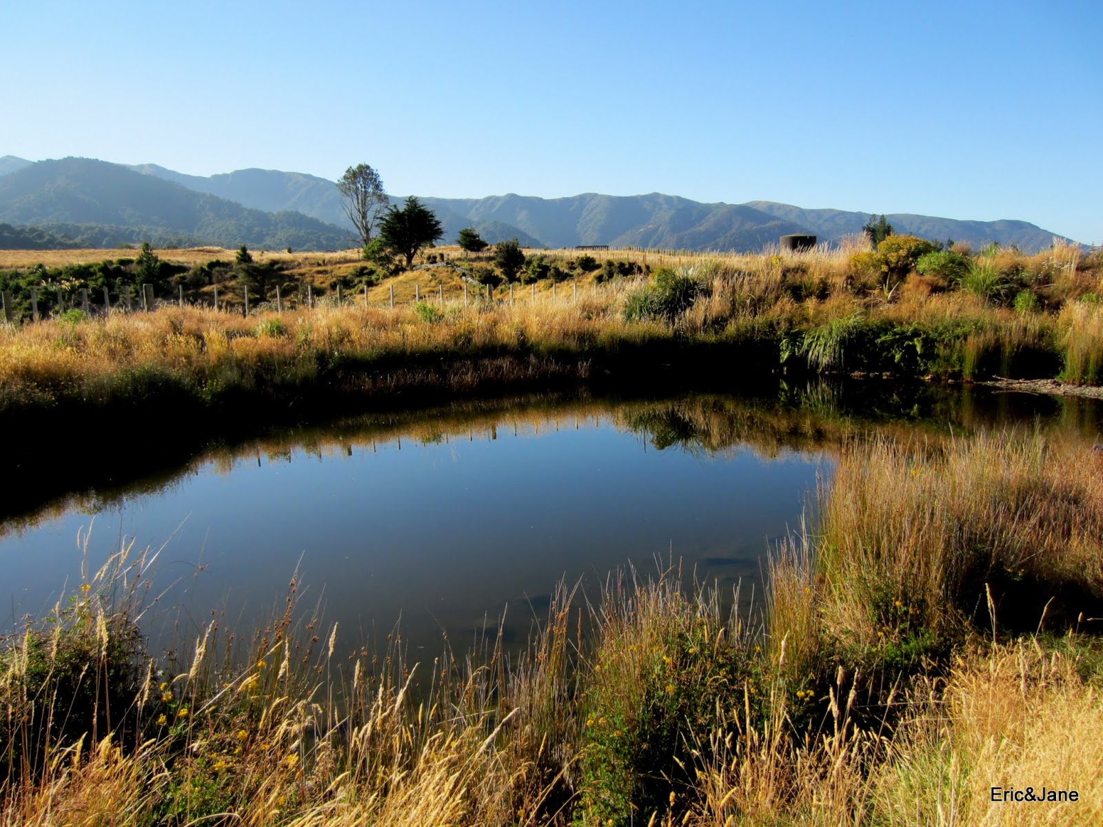 Oroua River & Iron Gate Gorge Walk,Ruahine Forest Park