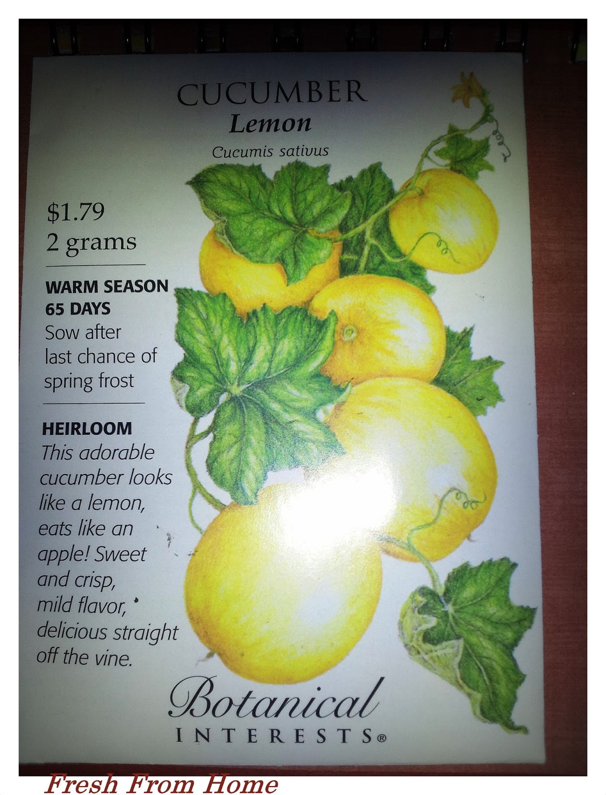 Fresh From Home: Planning Your Garden...Nerd style!