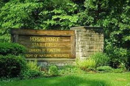 Cat's Eye View @ MPL: Exploring Morgan-Monroe Forest