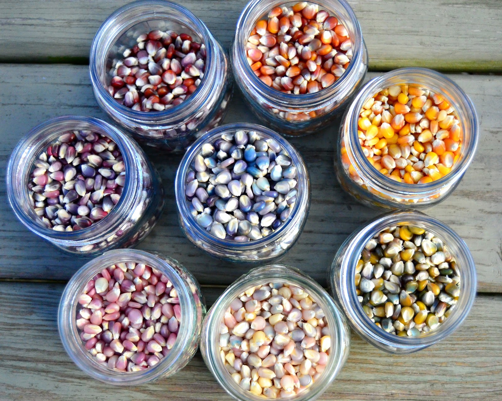 The Adventures of Six Hobbits: Glass Gem Corn