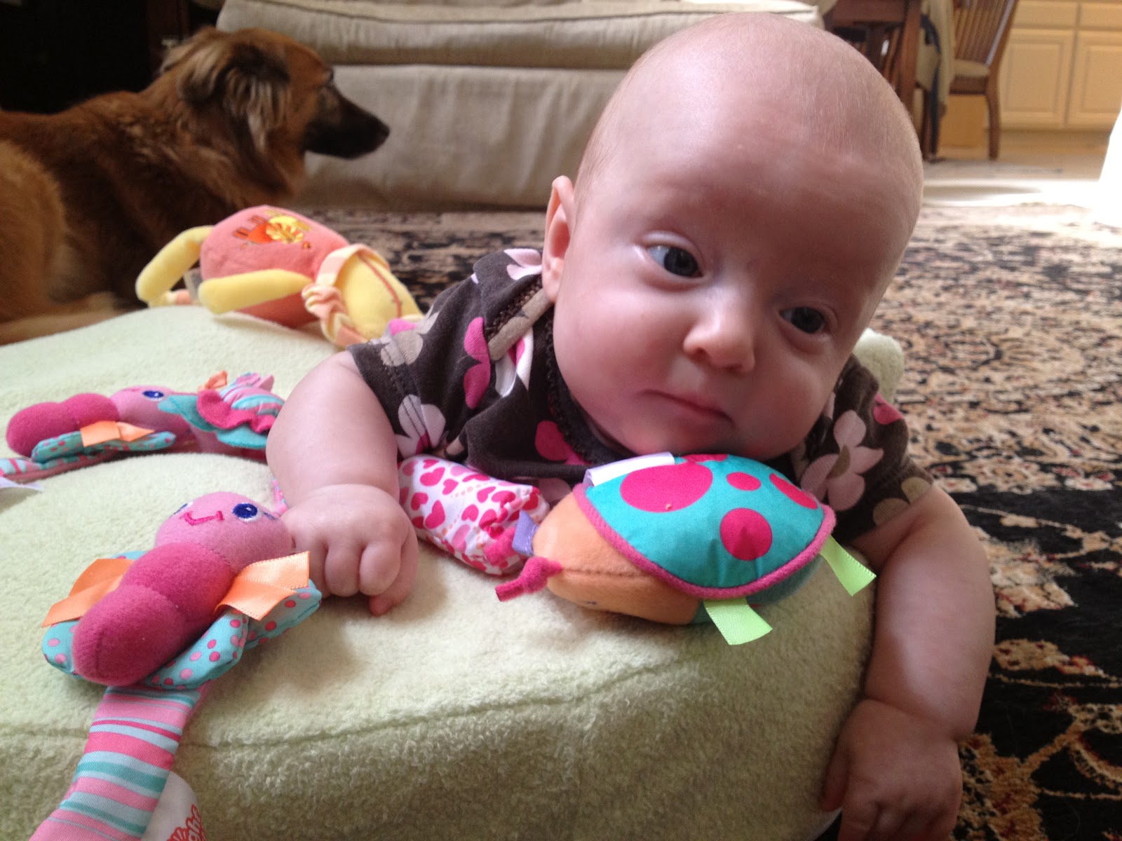 The Pair of Scates: Austin First Steps, plus My Last Week of Freedom!