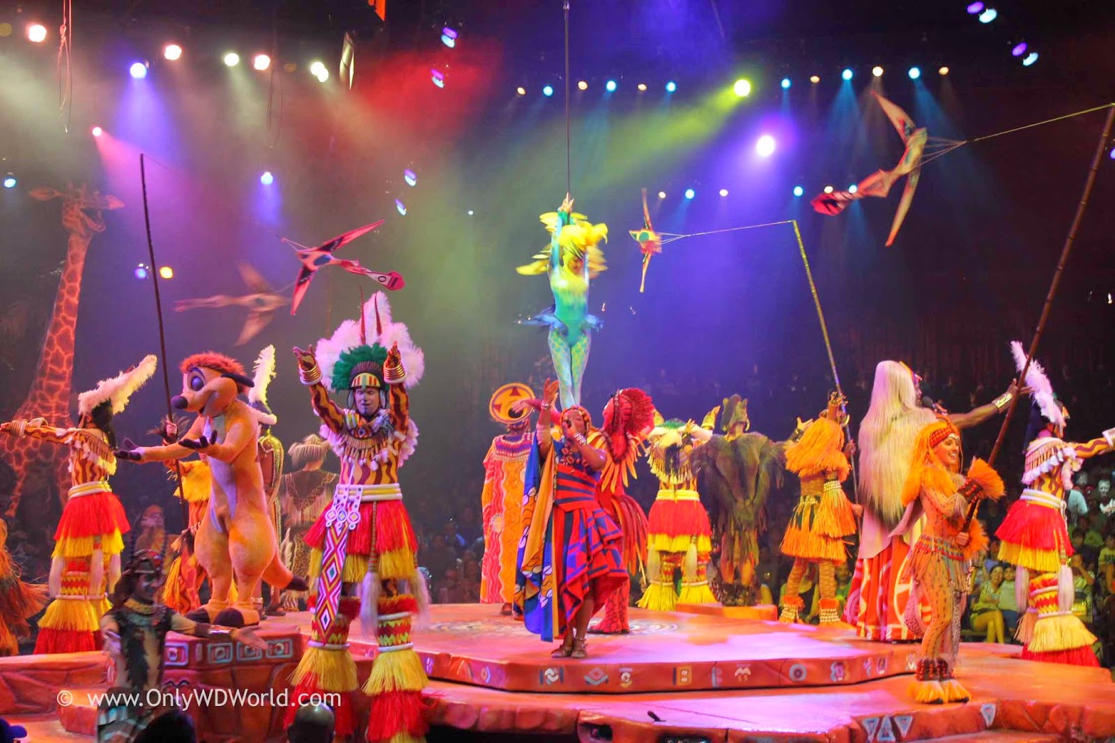 Festival Of The Lion King Returns To Disney's Animal Kingdom In June ...