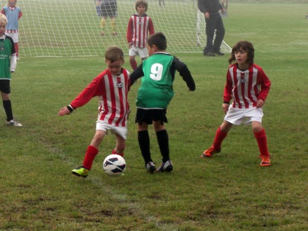 Heigham Park Rangers Under 9s 2012/13: Heigham Park Rangers 11 - 0 ...