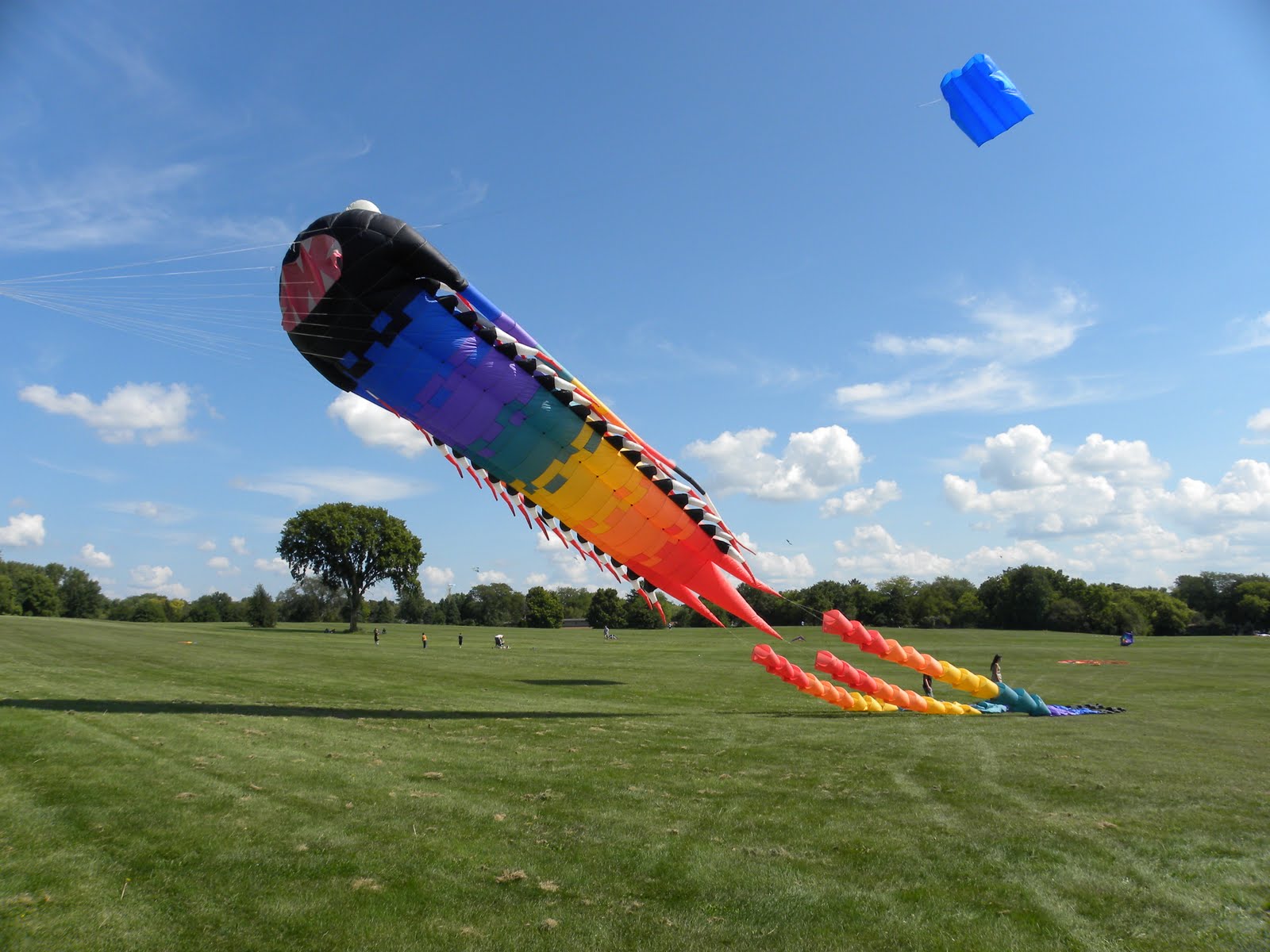 Sweet Posy Dreams: Up Through the Atmosphere/Up Where the Air is Clear