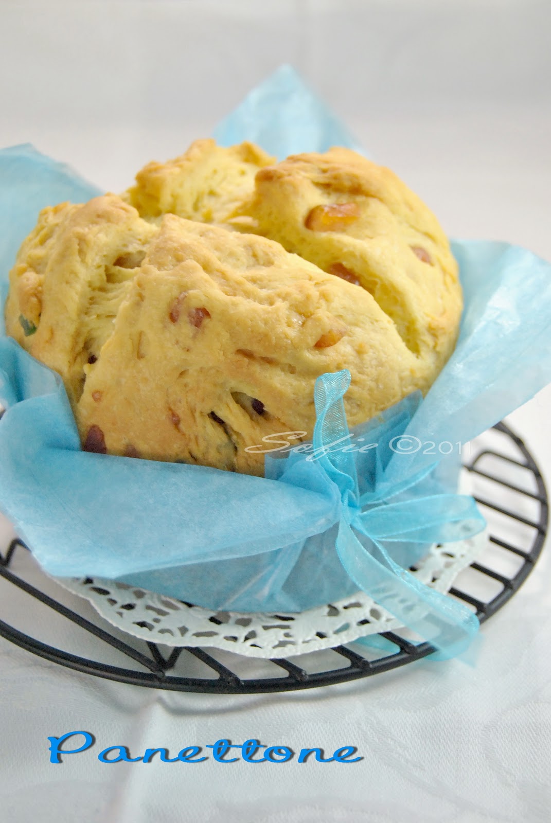 Violet's Hill: KBB #26: Panettone (Traditional Italian Christmas bread)