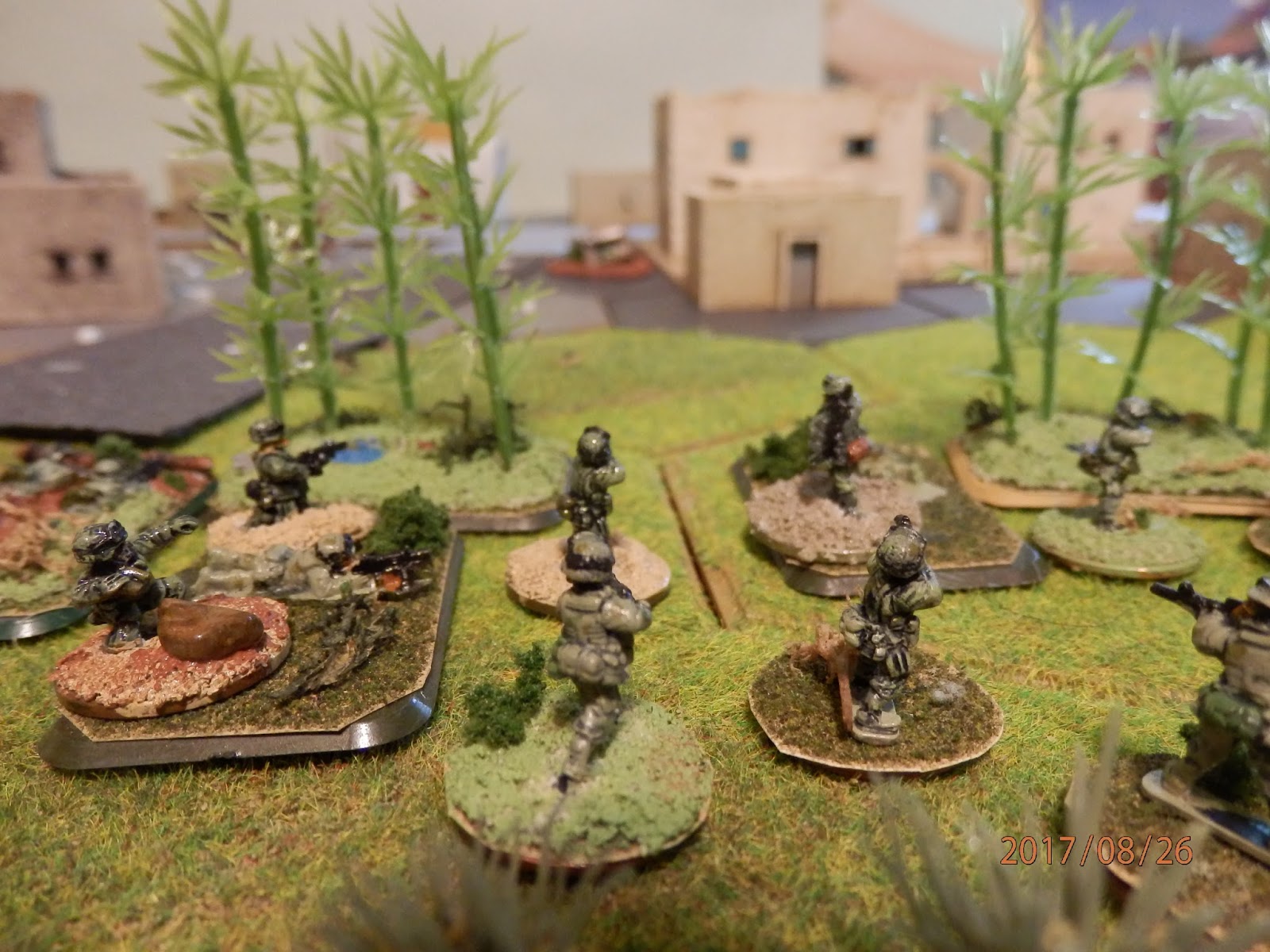 Platoon Forward: Flank Attack Afak, Iraq 2003