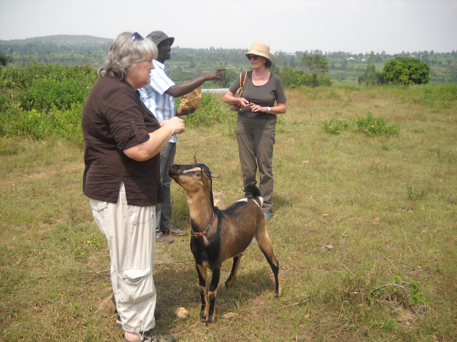 Blue Rose Dairy: Rwanda Trip Day 3