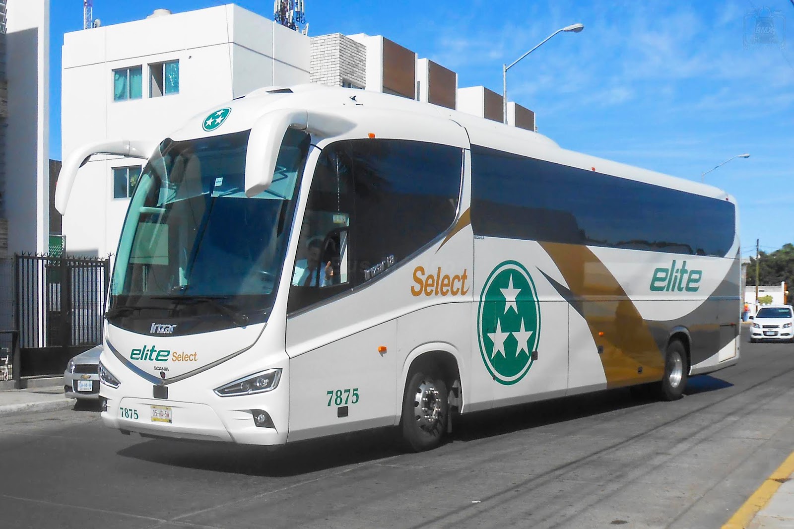 Autobuses Interestatales de México: Elite Select - Bus-México
