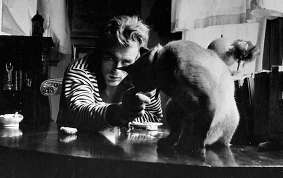 JAMES DEAN: SU GATO SIAMÉS CAT MARCUS & CAT LOUIS ROTH