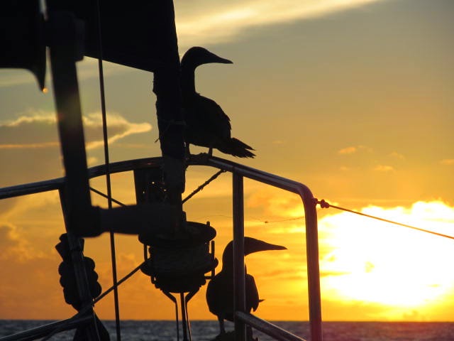 SAILING HELENA: Puluwat atoll, Micronesia