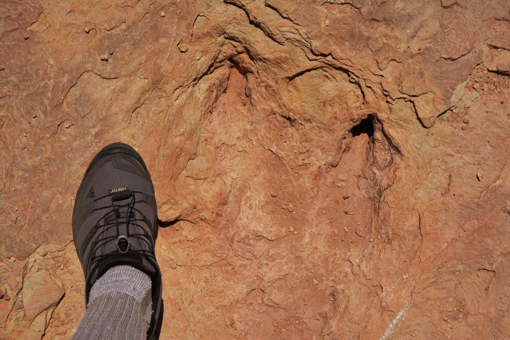Ex-Full-Time RVer: Copper Ridge Dinosaur Trackways