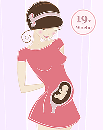 Wunder im Bauch: 19. SSW - der Bauch hat Plopp gemacht