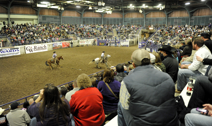 Sarah Midgorden Photography: At the Rodeo- CBR bull riding comes to ...