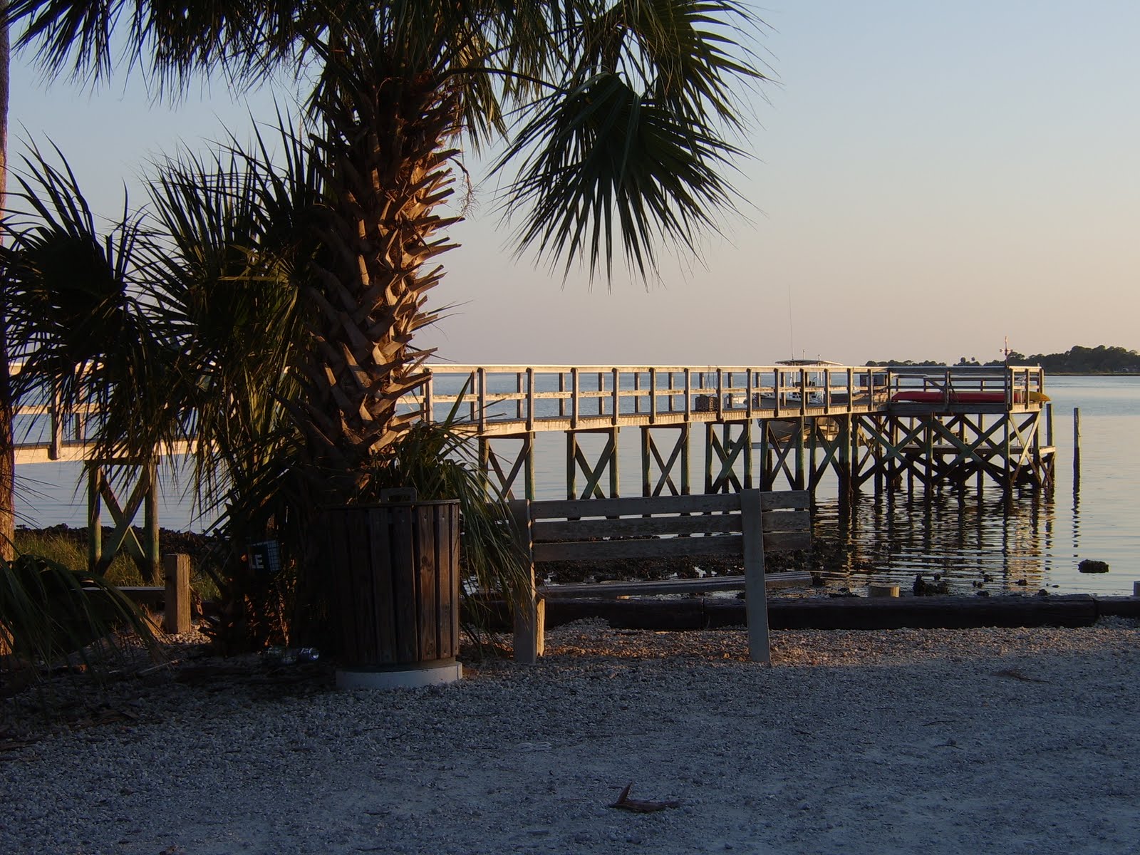 Cheryl's Shells: Cedar Key